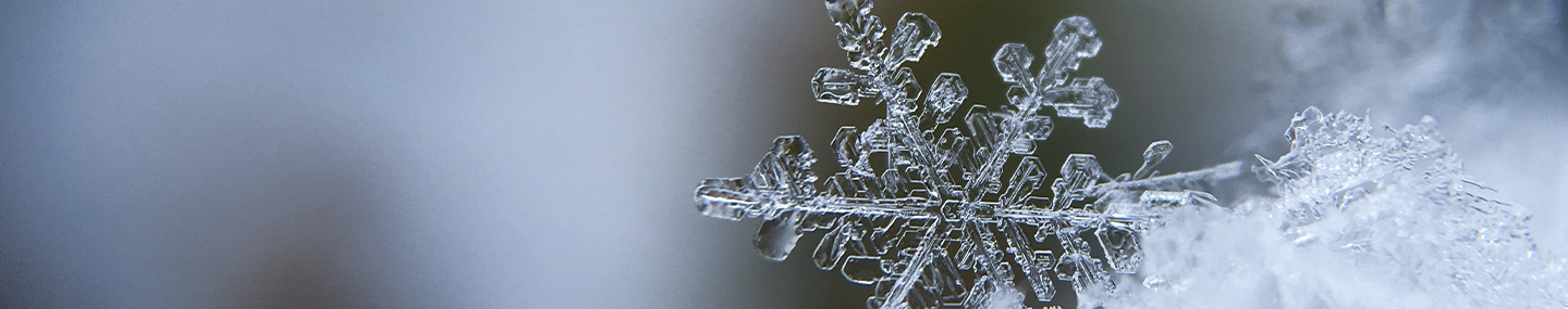 Devocional • A digital de Deus | Ministérios Pão Diário